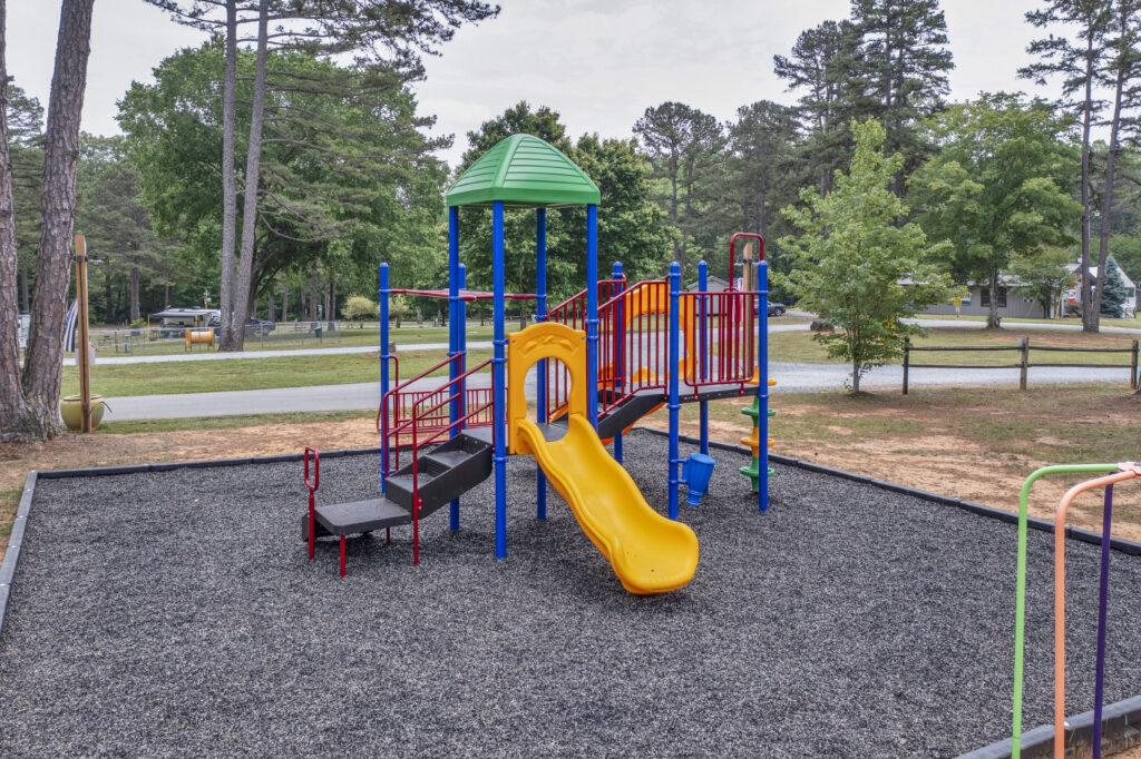 Amenities & Nearby Attractions - Zooland FC